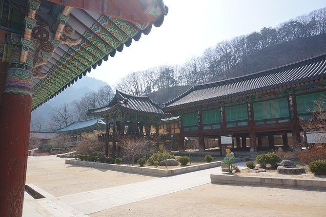[Premium Private Tour] Mt Seorak & East Sea or Nami island from Seoul - From the Viewpoints to Local Cuisine