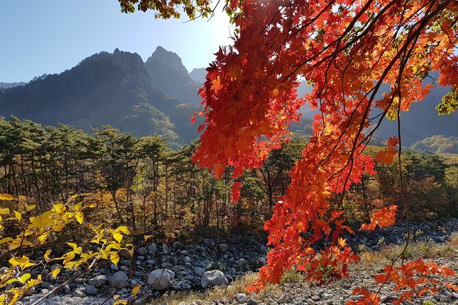 [Premium Private Tour] Mt Seorak & East Sea or Nami island from Seoul - Final Thoughts