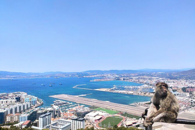 Premium private trip to Gibraltar from Seville (multiple options) - Final Words