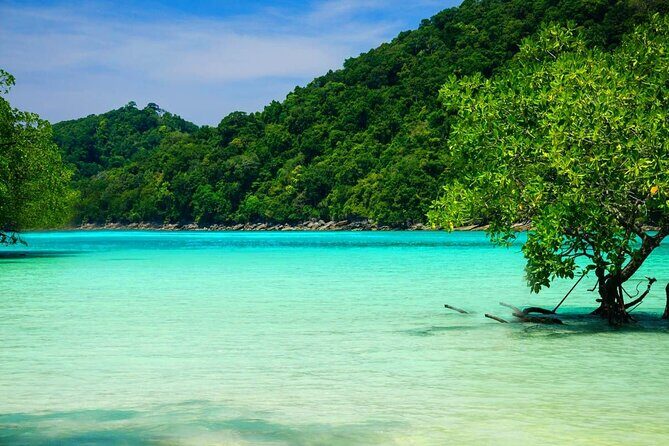 Premium Similan Island Day Trip with lunch and transfer pick up - An In-Depth Look at the Similan Islands Day Trip