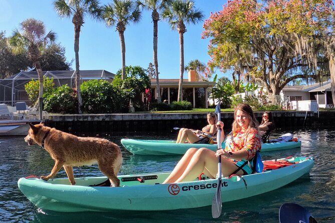 Premium Single Kayak Rental In Crystal River, Florida - The Itinerary: What to Expect