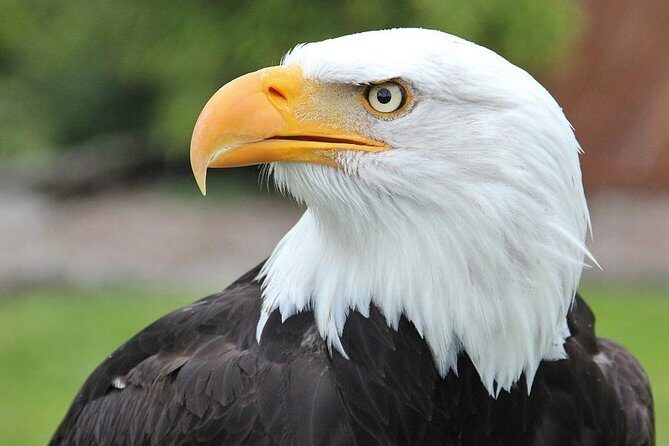 PREMIUM Sitka Scenic Tour - A Deep Dive into Sitka’s Top Tapings