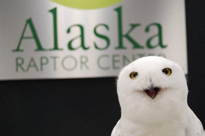 PREMIUM Sitka Scenic Tour - Final Thoughts: Who Will Love This Tour?