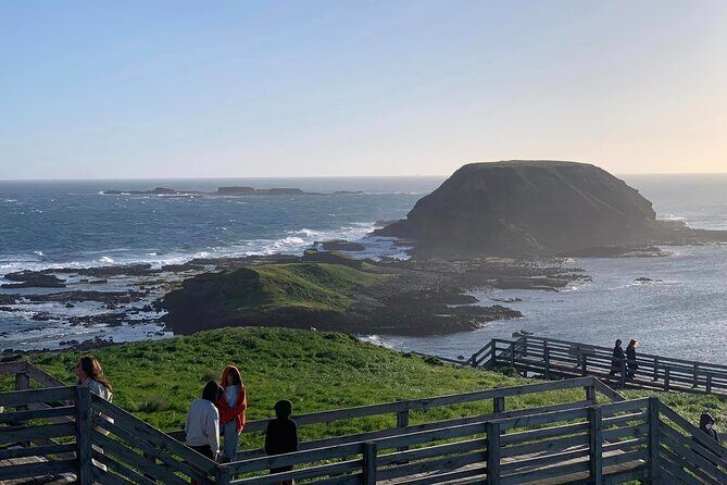 Premium Small Group Philip Island eco Tour - Pricing and Value
