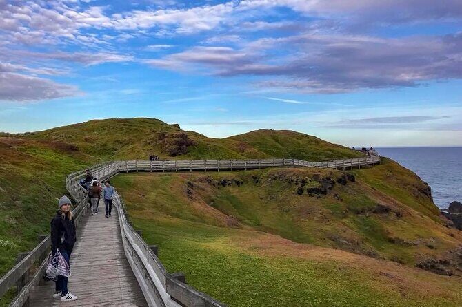 Premium Small Group Philip Island eco Tour - Practical Considerations