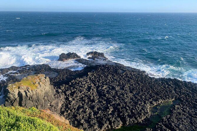 Premium Small Group Philip Island eco Tour - FAQs