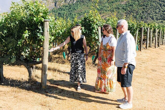 Premium Small-Group Wine Tour, 4 Wineries, Lunch from Queenstown - Final Thoughts