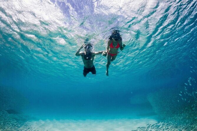 Premium Snorkel Catamaran Cruise in Los Cabos - Food and Drink