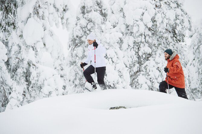 Premium Snowshoeing in Pyhä-Luosto National Park - Introduction