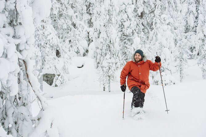 Premium Snowshoeing in Pyhä-Luosto National Park - The Itinerary: What to Expect