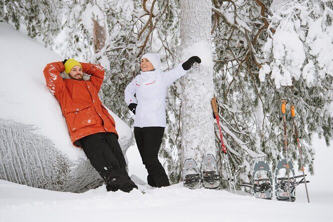 Premium Snowshoeing in Pyhä-Luosto National Park - The Photographing Opportunity