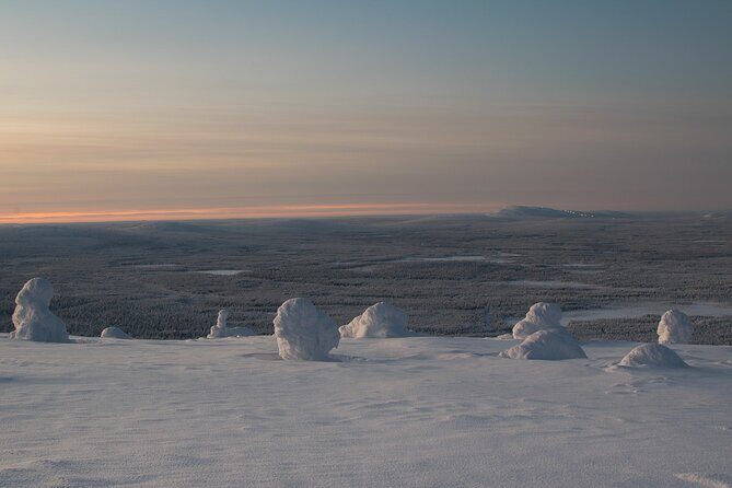 Premium Snowshoeing in Pyhä-Luosto National Park - The Value and Cost
