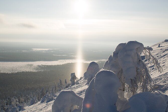 Premium Snowshoeing in Pyhä-Luosto National Park - Final Thoughts