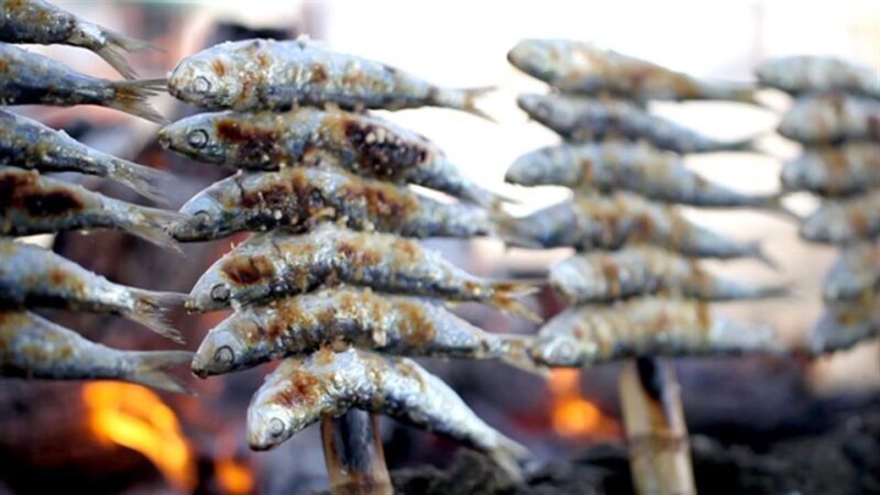 PREMIUM TAPAS TOUR: Paella, Tapas, Winery and Flamenco - Practicalities: What You Need to Know