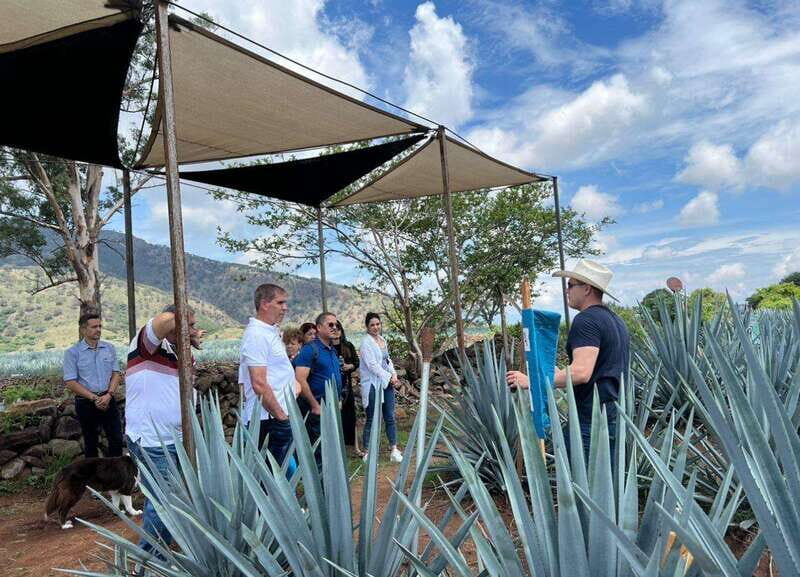Premium Tequila Route with professional tasting - Key Points