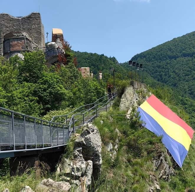 PREMIUM TOUR: Bears Safari on Transfagarasan Road - Discovering the Transfagarasan Bears Safari: An Authentic Romanian Adventure