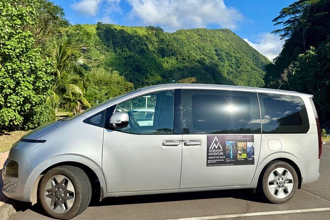 Premium Tour DE Tahiti, EN Half Day Privatised - Practical Tips for Your Day