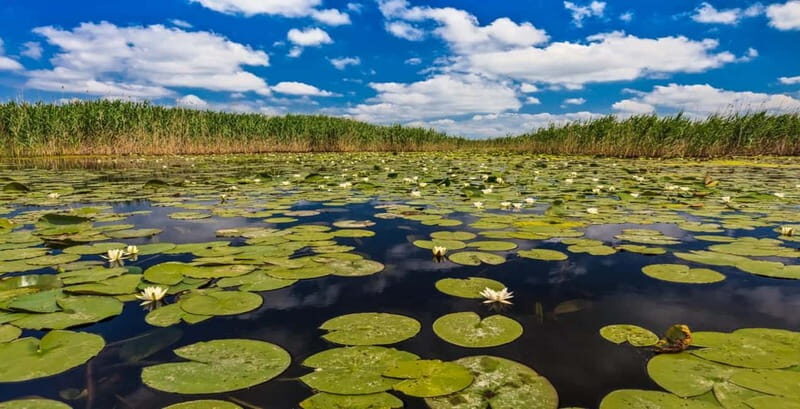 PREMIUM TOUR SMALL GROUP Bucharest: Day Trip to Danube Delta - The Authenticity and Quality of the Tour
