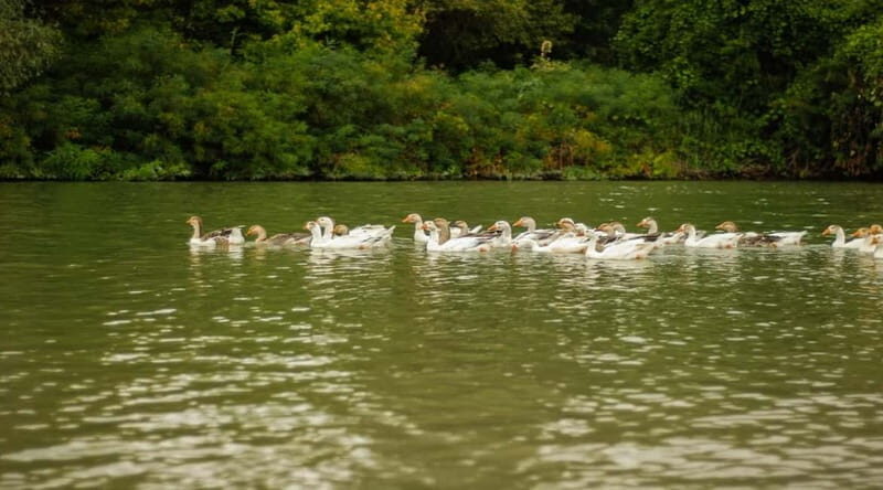 PREMIUM TOUR SMALL GROUP Bucharest-The Heart of Danube Delta - Key Points