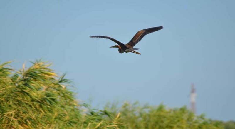 PREMIUM TOUR SMALL GROUP Bucharest-The Heart of Danube Delta - The Sum Up
