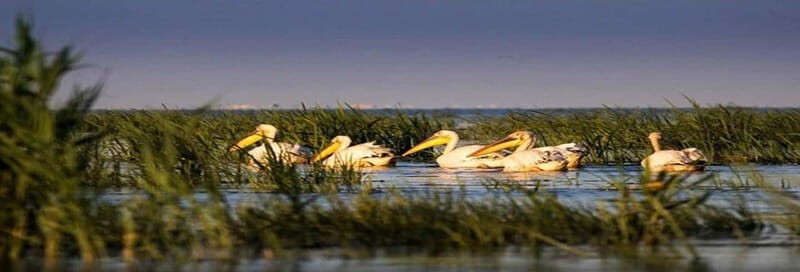 PREMIUM TOUR SMALL GROUP From Bucharest to the Danube Delta - Key Points
