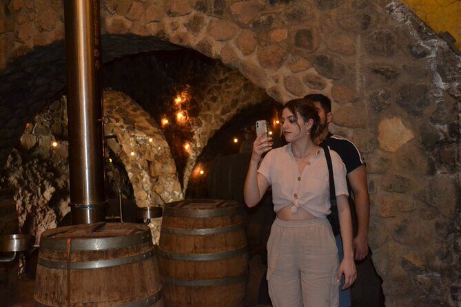 Premium Tour to the Tequila Route with Professional Tasting - Who Will Love This Tour?