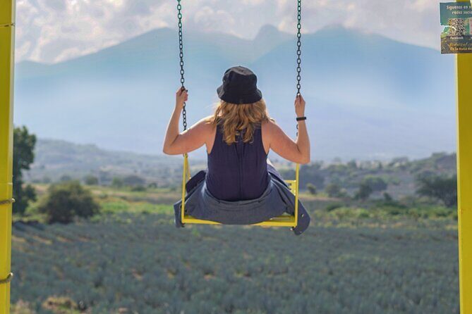 Premium Tour to the Tequila Route with Professional Tasting - The Sum Up: Is This Tour Worth It?