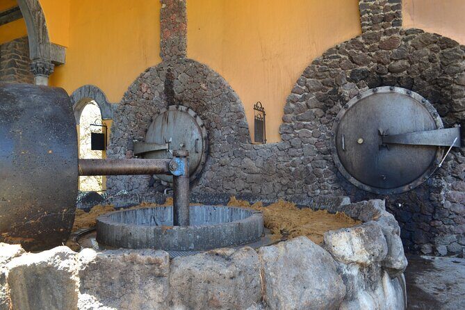 Premium Tour to the Tequila Route with Professional Tasting - FAQ