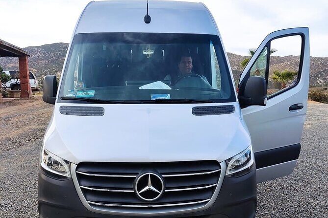 Premium Valle de Guadalupe Wine and Food Tour - Exploring the Experience: What You Can Expect