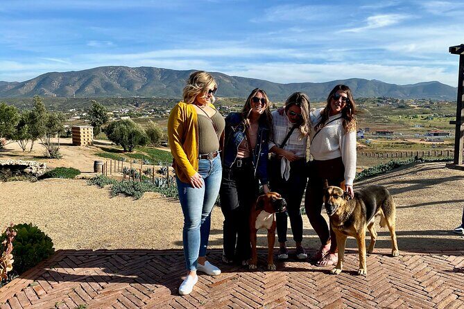 Premium Valle de Guadalupe Wine and Food Tour - Final Verdict: Who Should Consider This Tour?