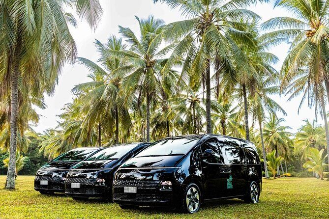 Premium Van, Private Transfer, Cairns City - Cairns Airport - The Experience in Practice