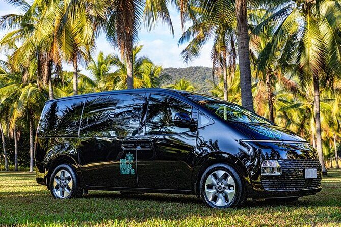 Premium Van, Private Transfer, Cairns City - Cairns Airport - Who Will Love This?