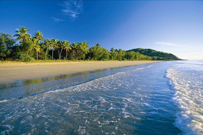 Premium Van, Private Transfer, Cairns City - Cairns Airport - The Sum Up