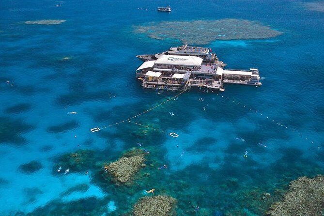 Premium Van, Private Transfer, Palm Cove - Cairns Airport. - An In-Depth Look at the Transfer Experience