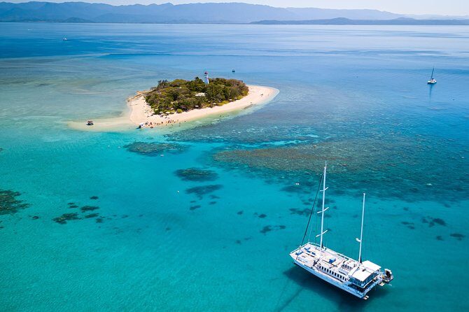 Premium Van, Private Transfer, Palm Cove - Cairns Airport. - The Bottom Line: The Practical Choice for Smart Travelers