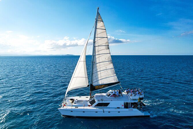 Premium Whitsunday Islands Sail, SUP & Snorkel Tour - Final Thoughts