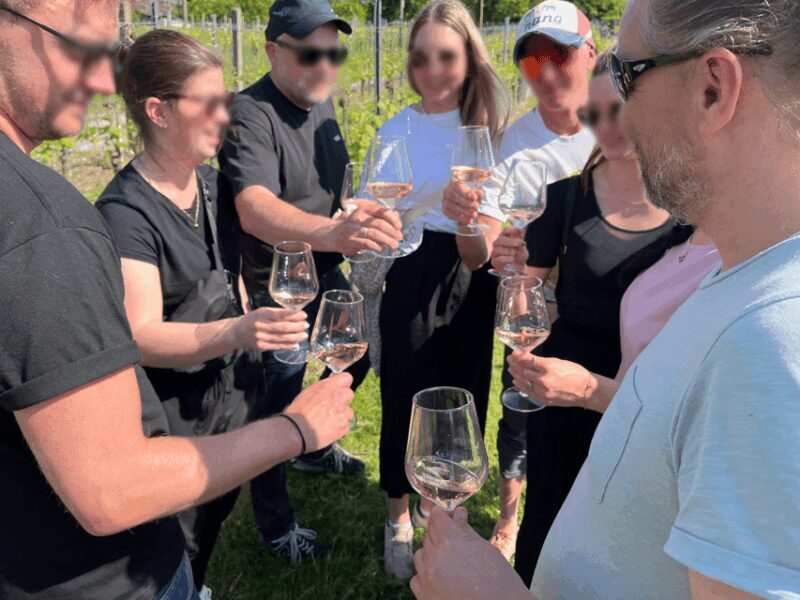 Premium wine hike Stuttgart with games and winemaker's snack - Why You’ll Love This Wine Hike in Stuttgart