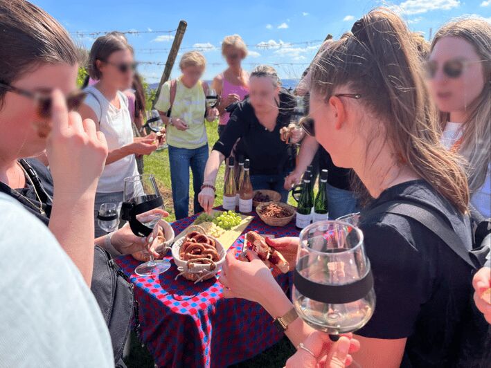 Premium wine hike Stuttgart with games and winemaker's snack - Who Will Enjoy This Experience Most?
