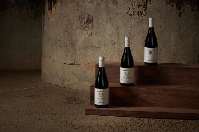Premium Wine Tasting Experience in Pokolbin - The Sum Up: Who Will Love This Experience?