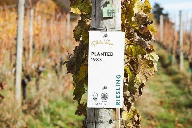 Premium Wine Tour Queenstown Tasting at 4 Wineries - FAQ