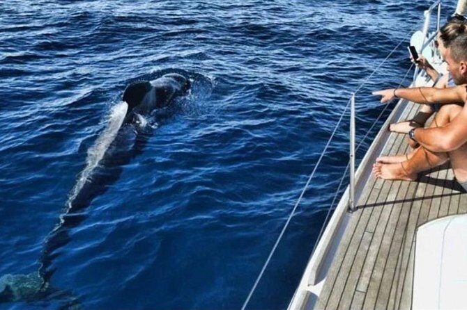 Premium Yacht Private Charter - The Itinerary and What to Expect