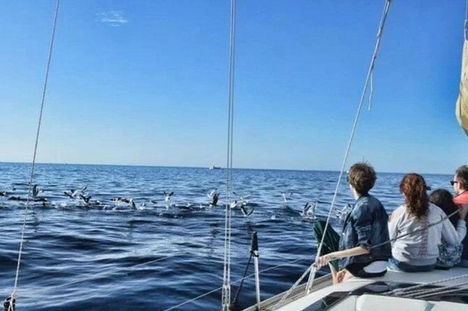 Premium Yacht Private Charter - The Sum Up