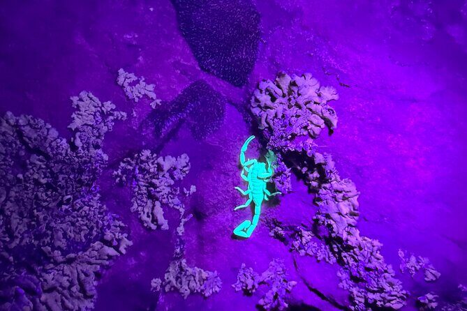 Prescott Night Hike and Stargazing - FAQ