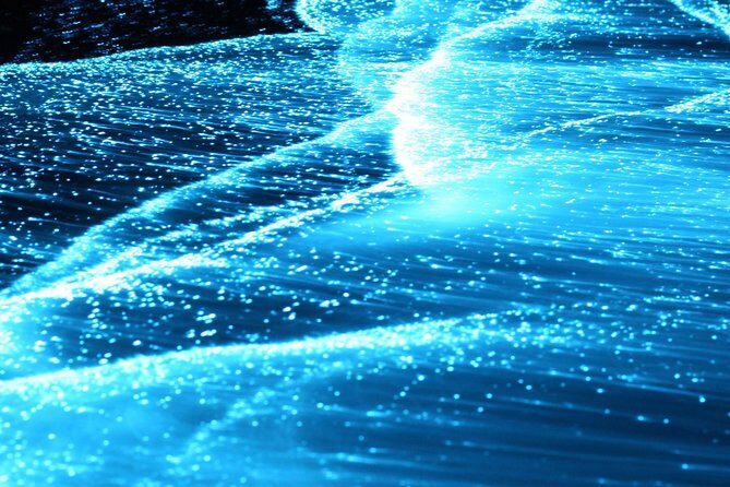 Preserving Baby Sea Turtles And Filling You With Energy In Bioluminescent Lights - Cost and Value