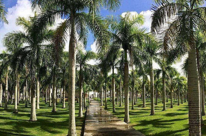 Presidential Suites By Lifestyle- Puerto Plata Airport - Practical Tips for Your Transfer