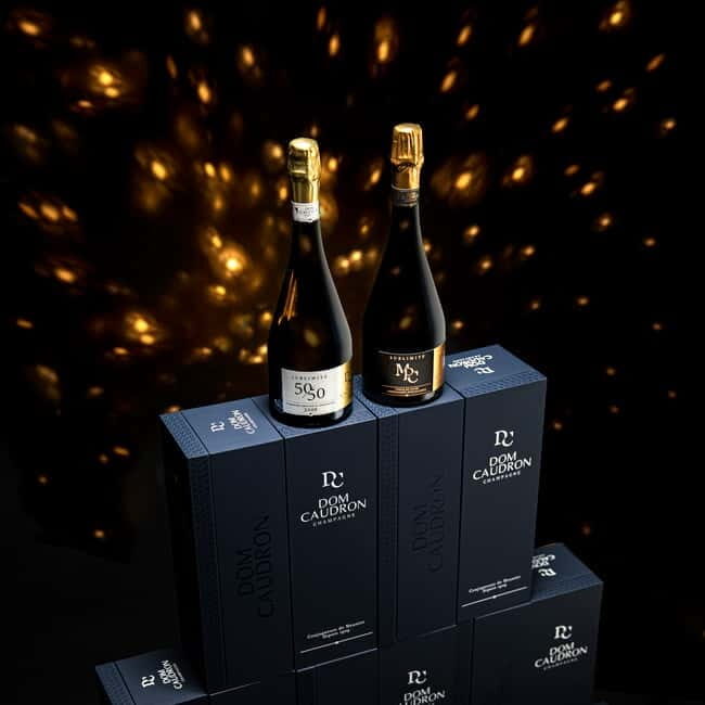 Prestige Champagne Experience - Passy-Grigny - Key Points