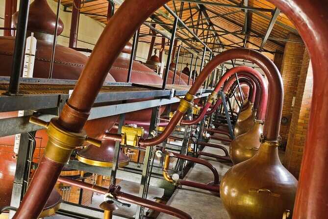 Prestige Tour and Cognac Tasting - An In-Depth Look at the Braastad Experience