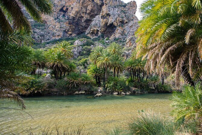 Preveli Palm Beach Boat Cruise & Rethymnon Town from Heraklion - Final Thoughts