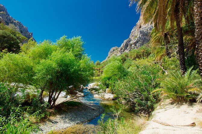 Preveli Palm Beach Boat Cruise & Rethymnon Town from Heraklion - FAQ