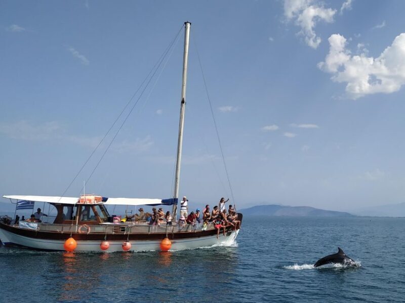Preveza: Dolphin Watching Cruise with Lunch and Drinks - An In-Depth Look at the Dolphin Watching Cruise